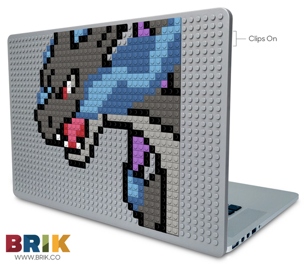 Charizard-X Laptop Case – BRIK