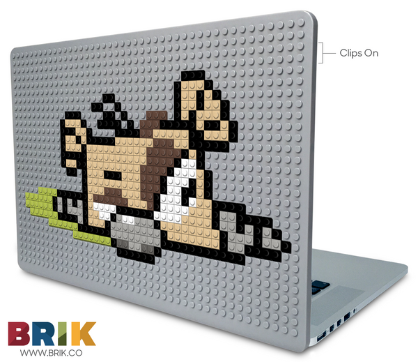 Groundhog Laptop Case – BRIK