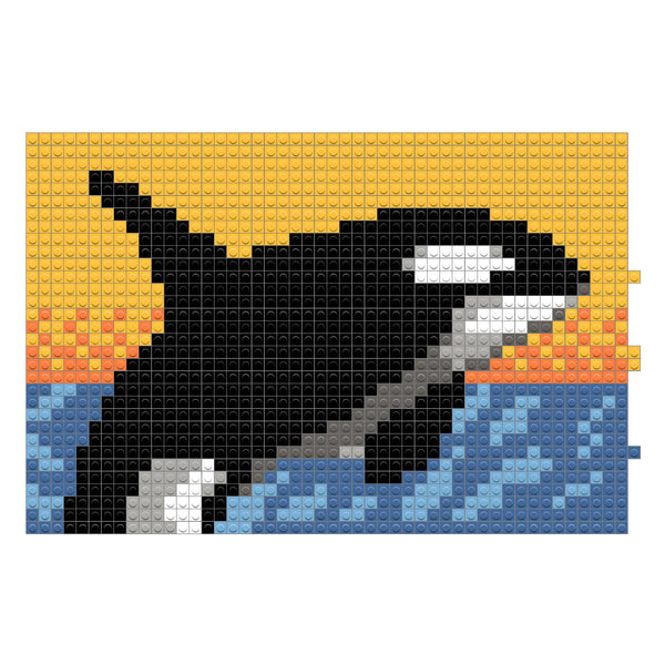 Orca in the Sunset – BRIK