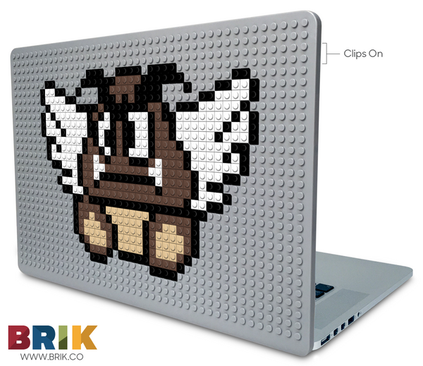 Paragoomba Laptop Case – BRIK